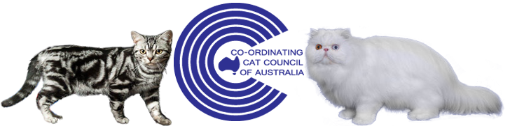 CCCA | Co-Ordinating Cat Council of Australia